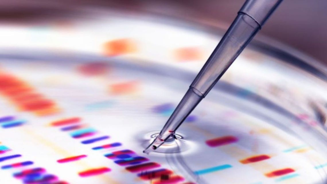 Sacco System to develop live biotherapeutics for next-generation ...