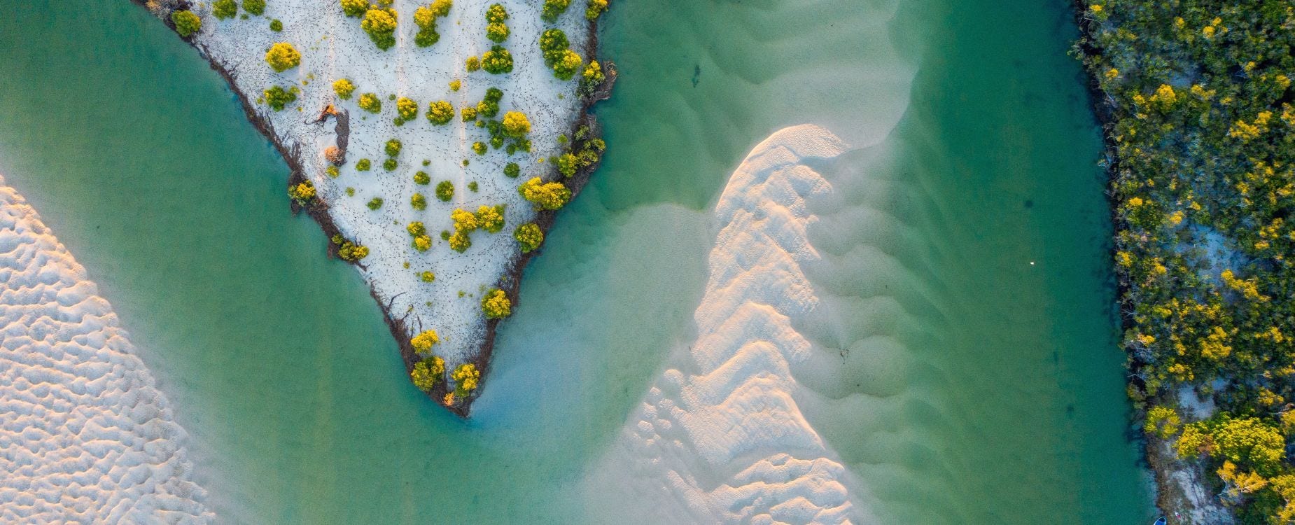 Trellis climbs to export success with ESG platform | Austrade International