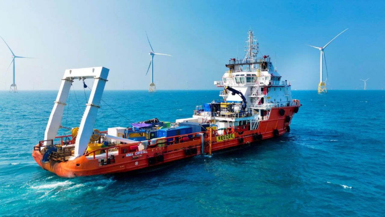 Marine expertise preserves offshore wind farm habitats | Austrade ...
